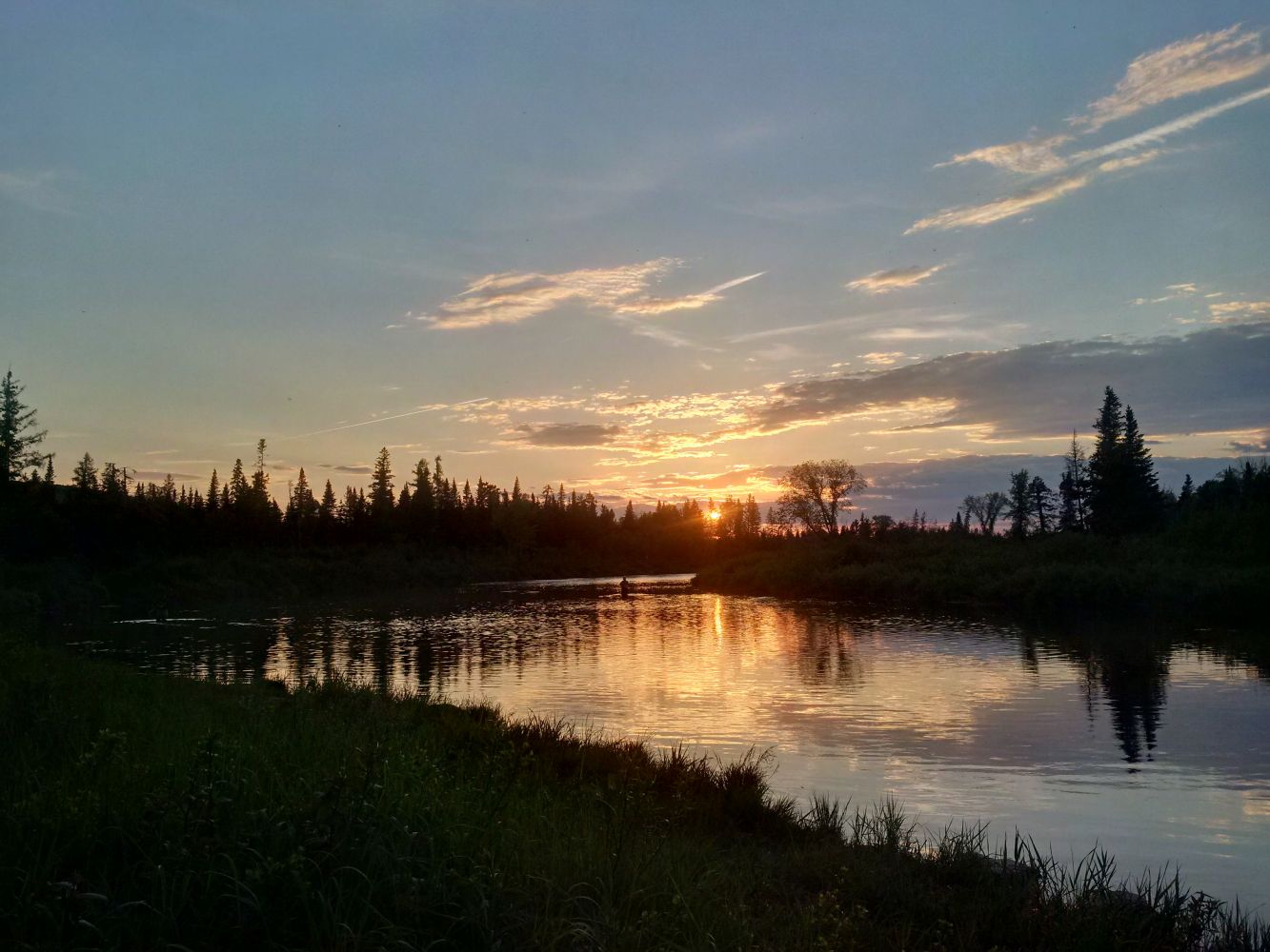 Welcome to the Miramichi Salmon Association - Miramichi Salmon Association