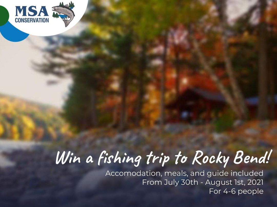 Raffle – Miramichi Salmon Association