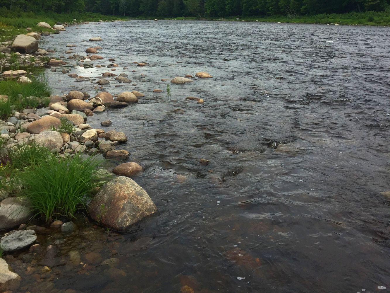 Cold Water Habitat Enhancement – Miramichi Salmon Association
